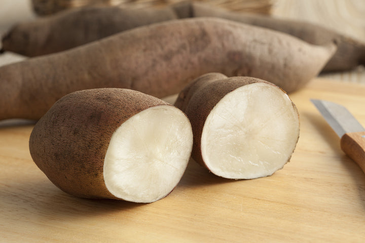 The NEW 100% Keto-friendly Powerfood: Yacon Root! – ROWDY